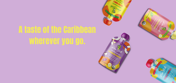 BOLD Flavors for Little Adventurer's – Loco Bebe